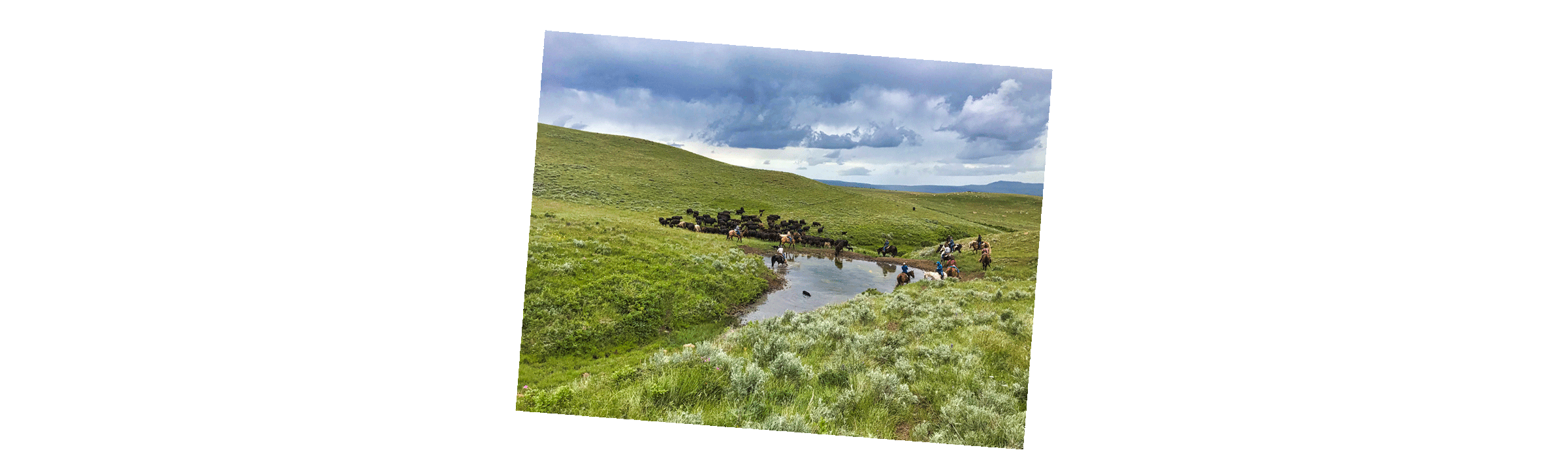 The Cowboy Experience | Working Ranch Vacation | TX Ranch